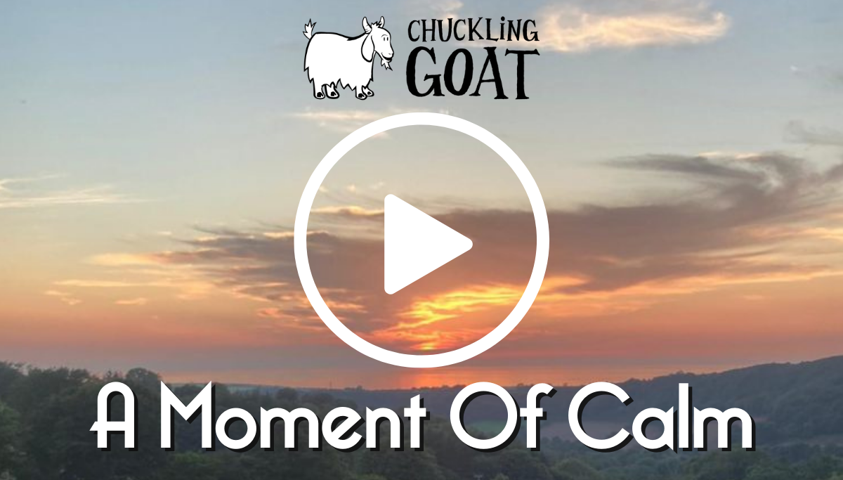 A Moment Of Calm - Summer Nights 🌄 - Chuckling Goat