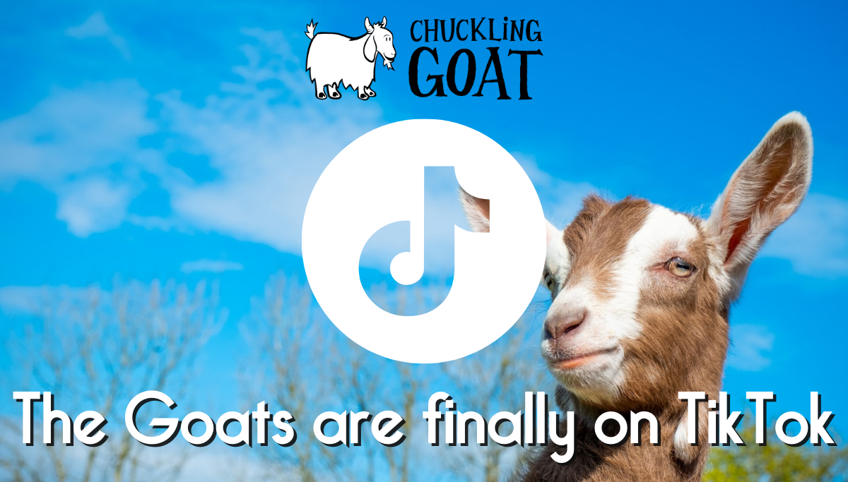 The Goats are finally on TikTok 🐐😎 - Chuckling Goat