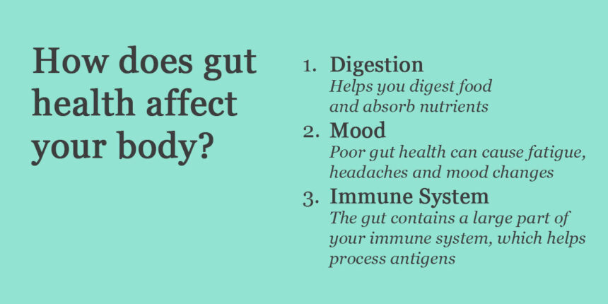 What is gut health and why does it matter? - Chuckling Goat