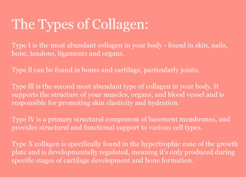 Understanding all the different types of collagen - Chuckling Goat