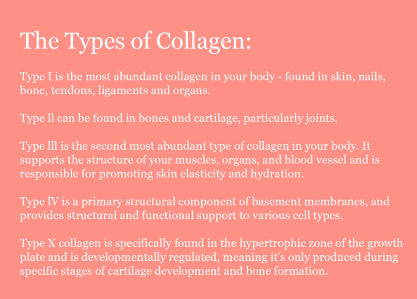 Understanding all the different types of collagen - Chuckling Goat